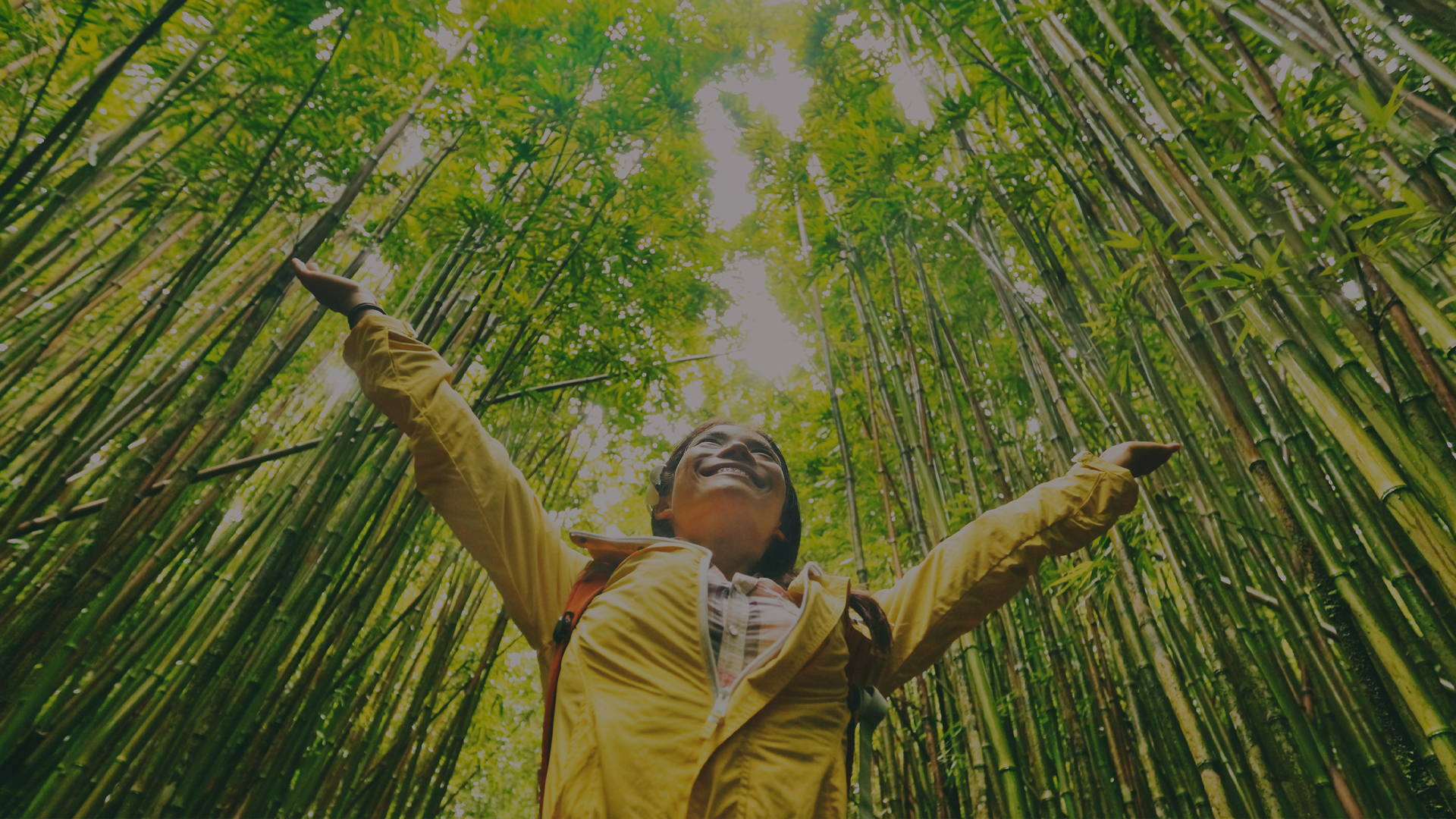 Sustainability | Kensing Solutions